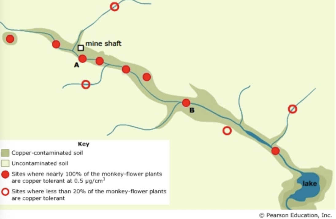 The map below shows the area near an old copper mine, which ...