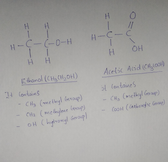 Draw The Structures Of Ethanol And Acetic Ethanoic Acid In The Ground And Conjugate Acid