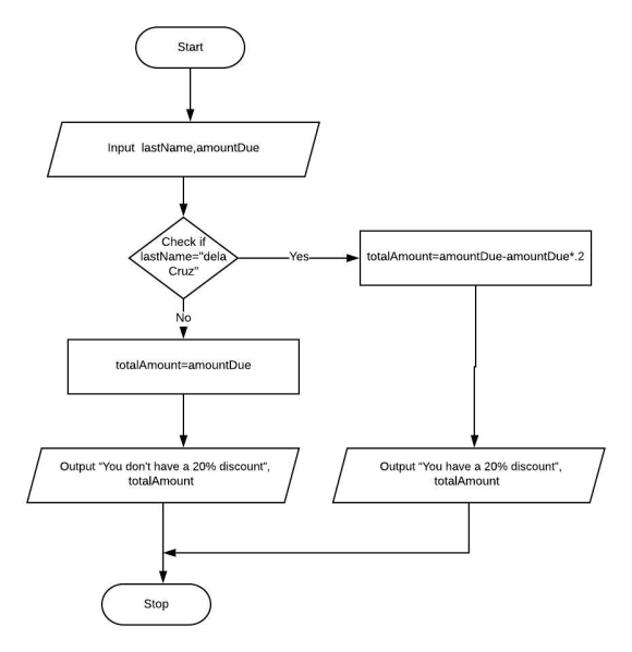 Selectionconditional Structure Create A Flowchart And Pseudocode For The Problem Below Juan