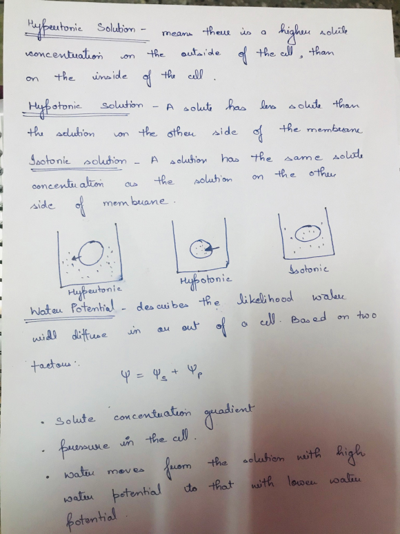 12. Define hypotonic, hypertonic and isotonic. Diagram and explain how ... 12. Define hypotonic, hypertonic and isotonic. Diagram and explain how ...